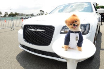 Party Report in Pictures: Paul Wesley, Gwen Stefani, 50 Cent, George ...