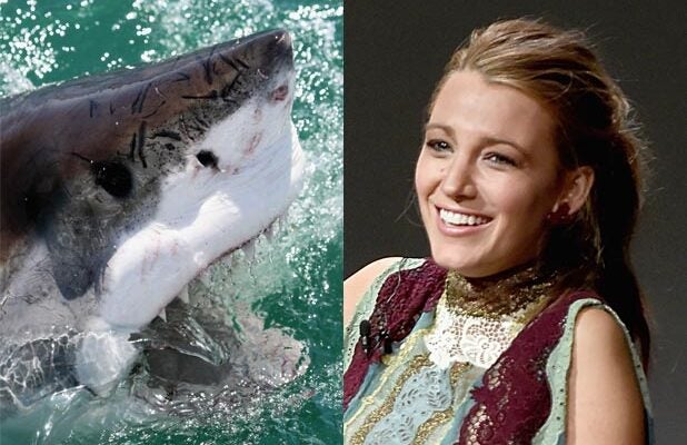 Blake Lively in 'The Shallows' Trailer (Video)