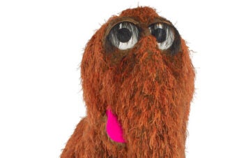 Top 13 'Sesame Street' Characters Ranked: From Elmo to Mr Snuffleupagus ...