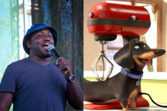 13 Famous Voices Behind the Furry Characters in 'Secret Life of Pets ...