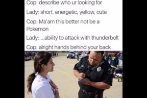 23 'Pokemon GO' Memes to Help You Understand the New Pokemon Craze ...