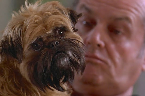 31 Scene-Stealing Animals in Movies and TV (Photos)