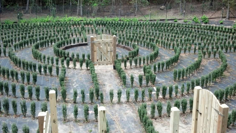 'S-Town': Here's John B. McLemore's Beautiful Maze (Photos)