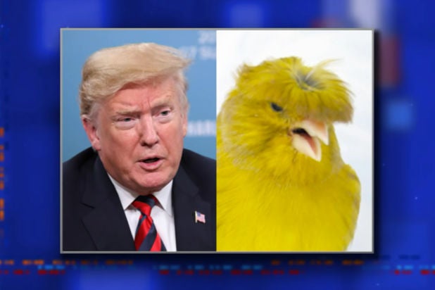 Colbert: 'Michael Cohen Is Going to Sing Like a Canary, Which Is Ironic ...