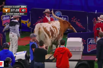 Watch Texas Longhorns Steer Charge Uga the Bulldog Before Sugar Bowl ...