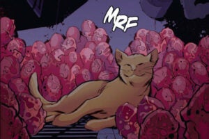 'Captain Marvel': What the Hell Actually Is a Flerken? - TheWrap