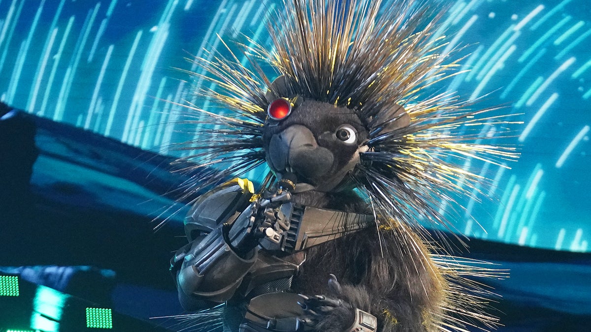 'Masked Singer': Robopine Was Super Worried About His 'Super Obvious ...