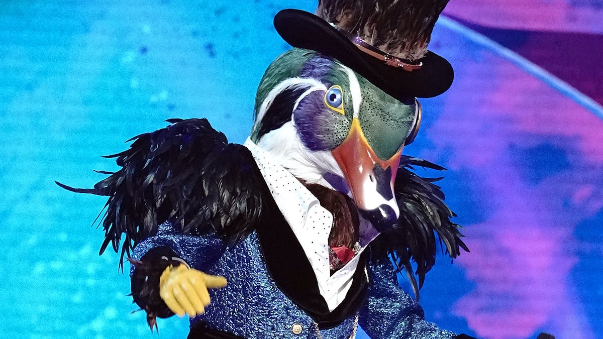 Mallard Needs You to Know He Knows Masked Singer Costume Is a Wood Duck