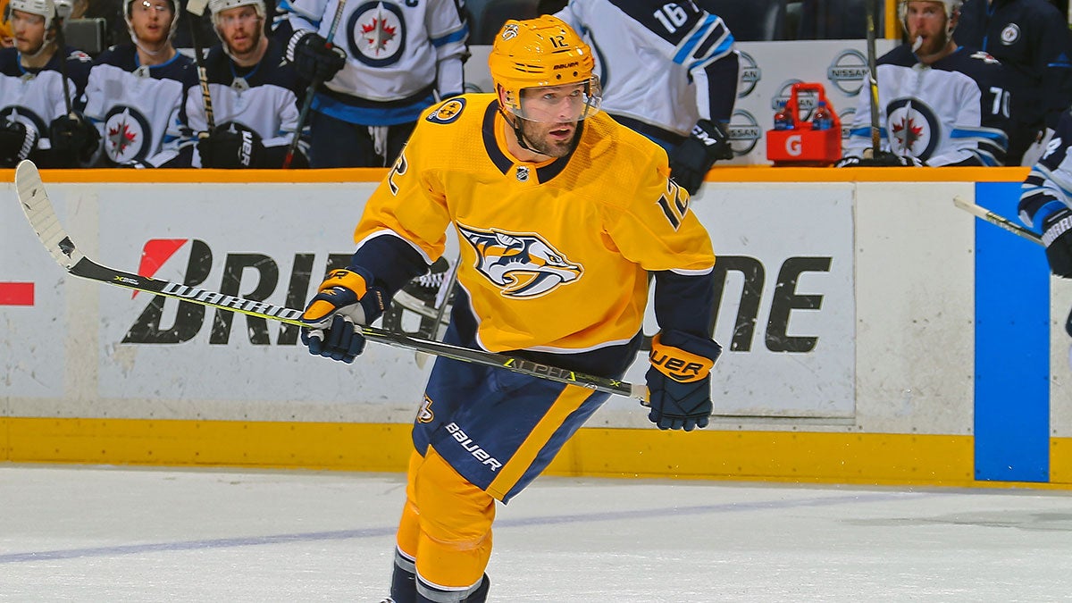 Mike Fisher Predators Fight