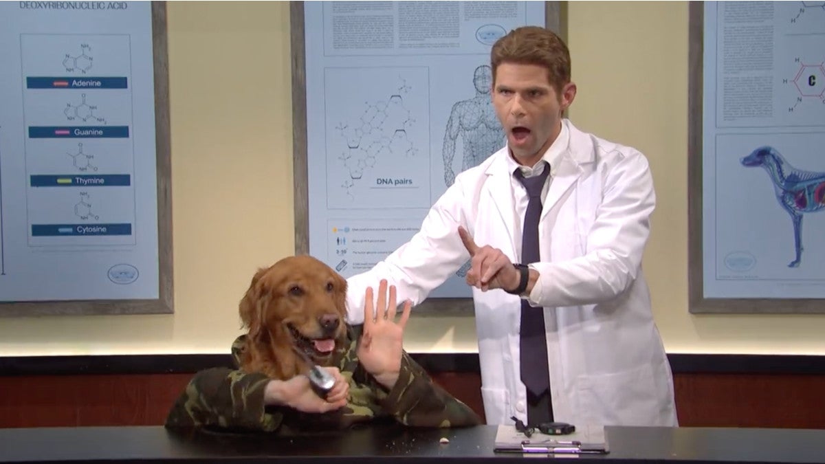 SNL Dog Head Man Sketch Has Cast Struggling Not to Laugh