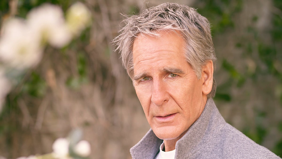 Scott Bakula Cast as Patriarch Trying to Save His Ranch in NBC's ...