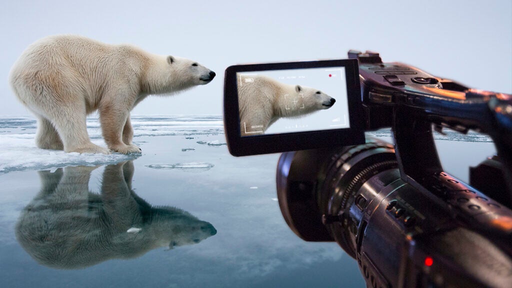 Why Screenwriters Should Keep Climate Change Top of Mind in Their Scripts