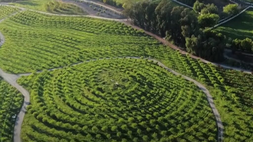 15 Environmental Movies to Stream on Earth Day