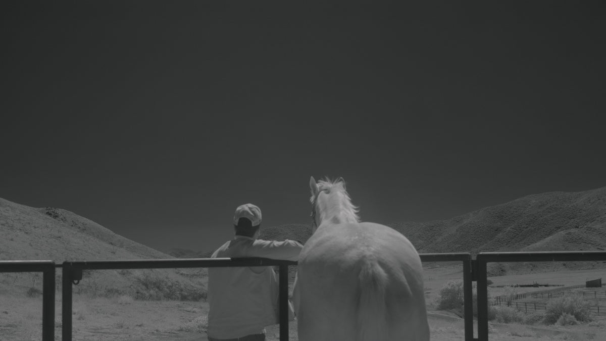 Nope VFX Secrets Revealed: From a CG Sky to That Gordy Scene