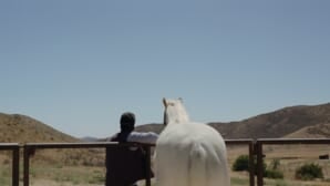 Nope VFX Secrets Revealed: From a CG Sky to That Gordy Scene