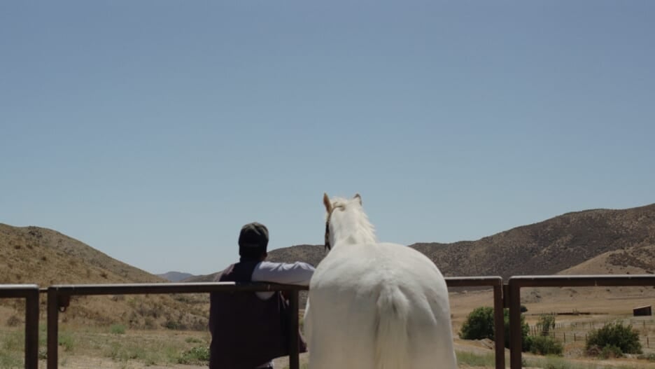 Nope VFX Secrets Revealed: From a CG Sky to That Gordy Scene