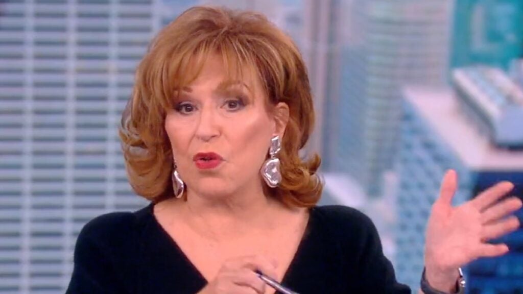 'The View' Host Joy Behar Scoffs at DeSantis' Request for Hurricane Help