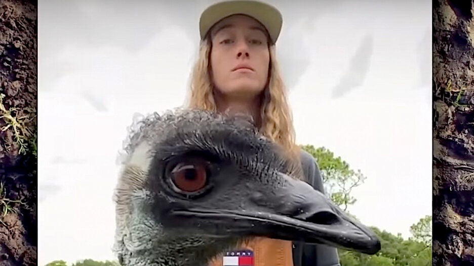 Emmanuel, Viral TikTok Emu, Fighting for His Life With Avian Flu