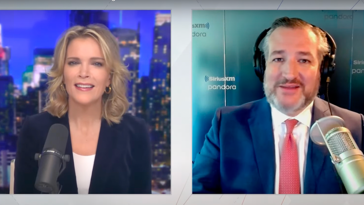 Ted Cruz Reacts to 'Nuts' Who Disrupted His 'View' Interview