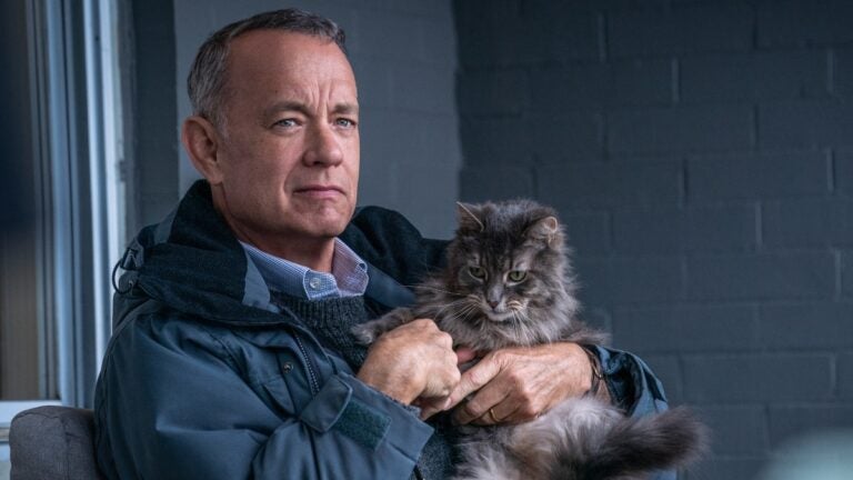 Best Tom Hanks Roles: 13 of the Actor's Greatest Performances