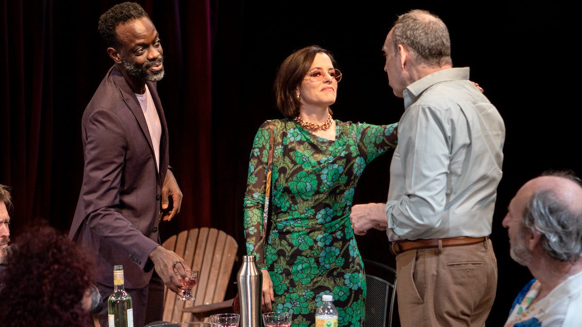 'The Seagull/Woodstock, NY' Off Broadway Review: Parker Posey Steals ...