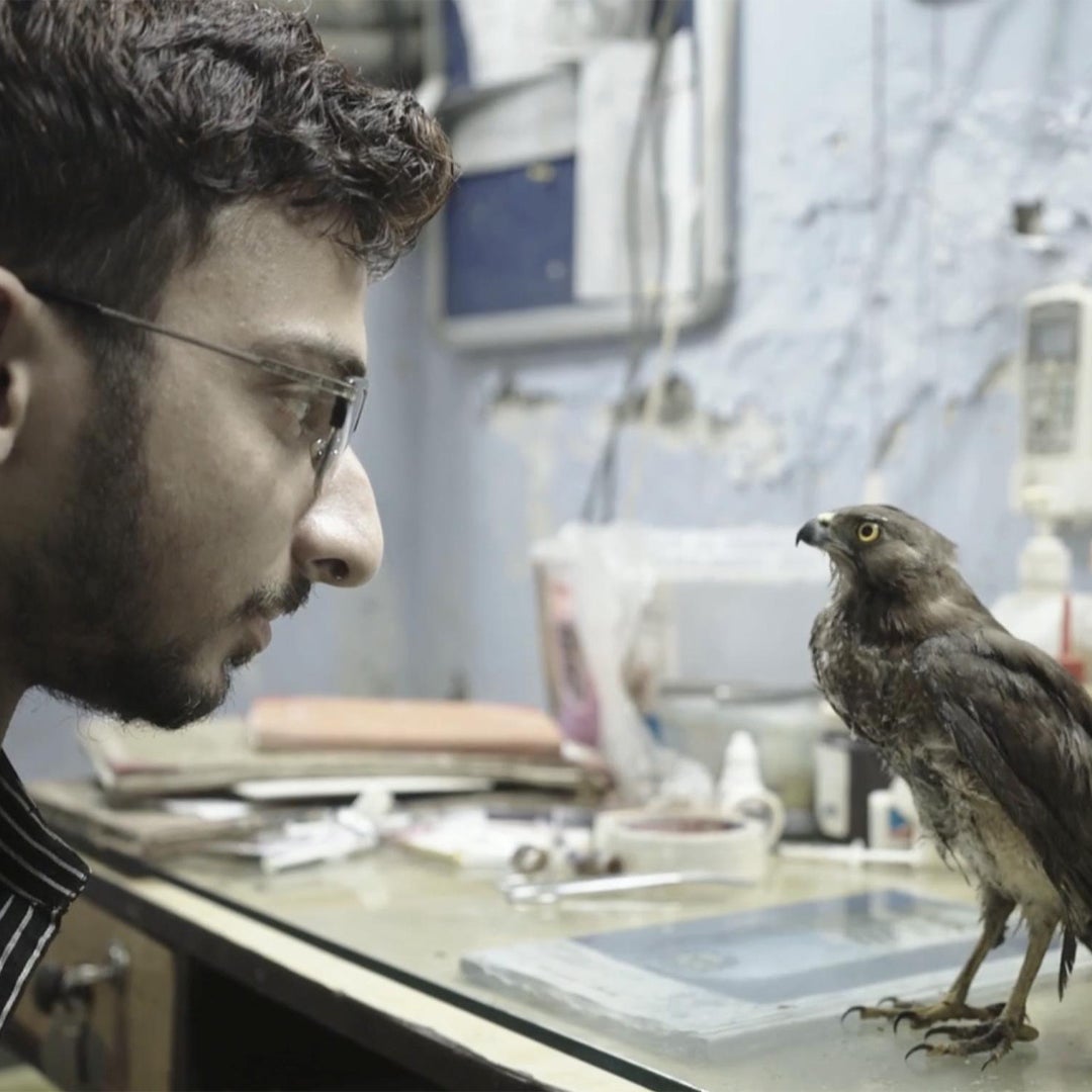 Best Documentary Feature Film