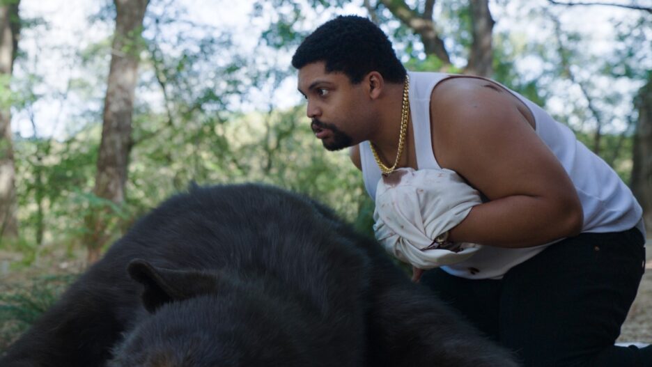 Cocaine Bear Cast and Character Guide: Who's Who?