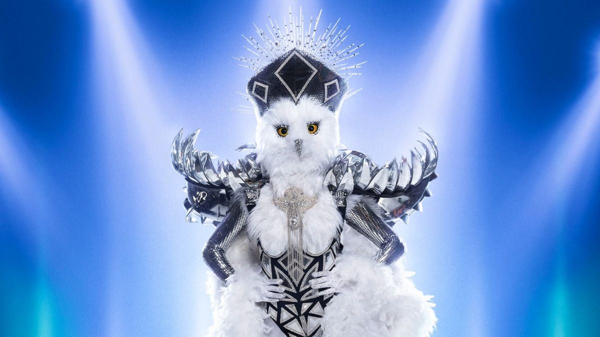 'The Masked Singer': Night Owl Reveals They Only Had 24 Hours to ...