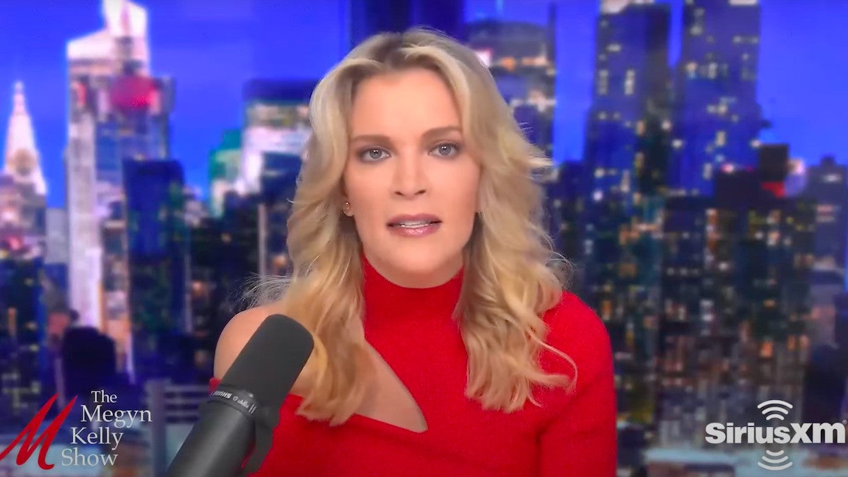 Megyn Kelly Slams DeSantis for Rejecting Interview: He's Afraid