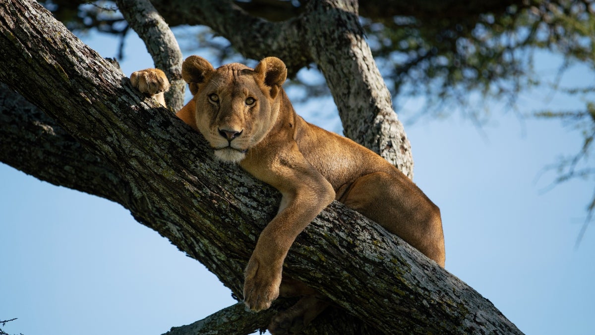 7 Environmental Shows to Stream for Earth Day