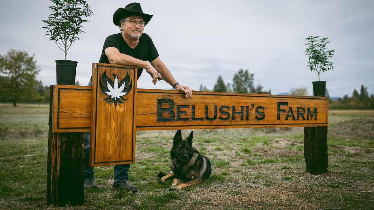 'SNL' Alum Jim Belushi Blazed a Trail Outside His Comfort Zone to Farm ...