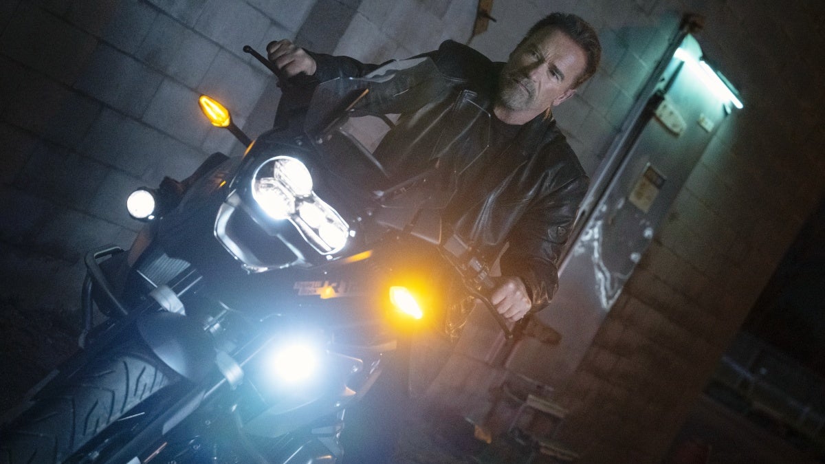 Arnold Schwarzenegger Makes Netflix TV Debut in First Fubar Trailer