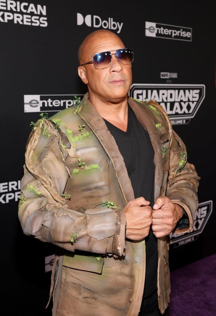 Guardians of the Galaxy Vol. 3 Red Carpet Photos: See Vin Diesel's ...