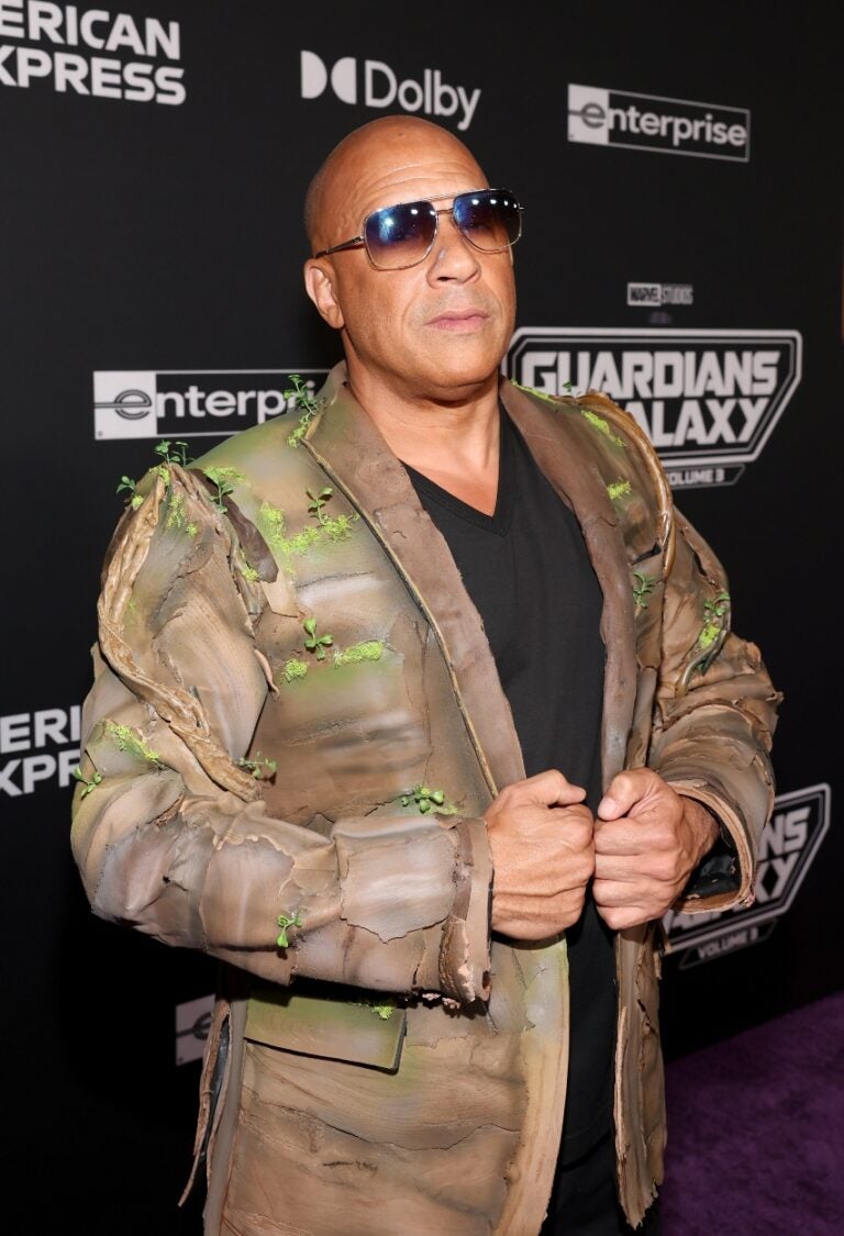 Guardians of the Galaxy Vol. 3 Red Carpet Photos: See Vin Diesel's ...