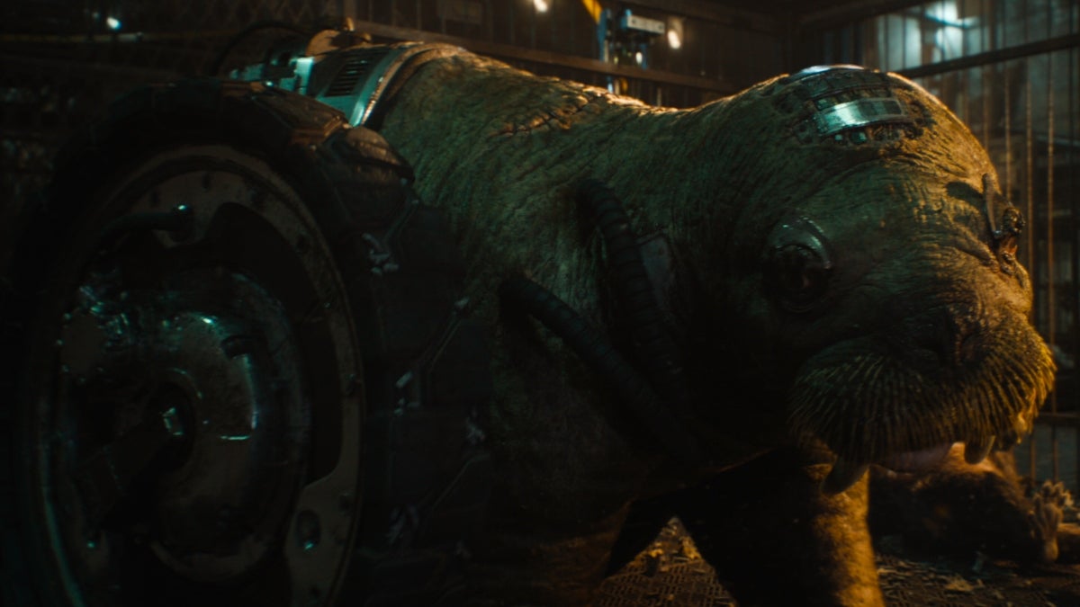 Guardians of the Galaxy 3 Cast and Character Guide: Who's Who?