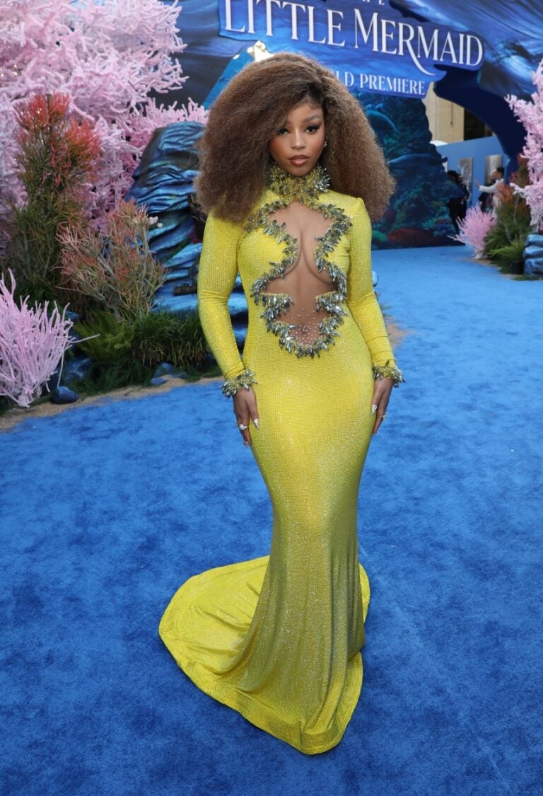 The Little Mermaid World Premiere: Halle Bailey Makes a Splash (Photos)