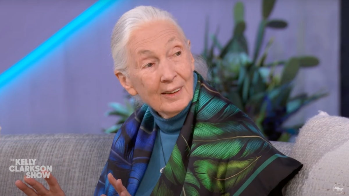 Jane Goodall Says Tarzan Made Her Fall in Love With Wildlife