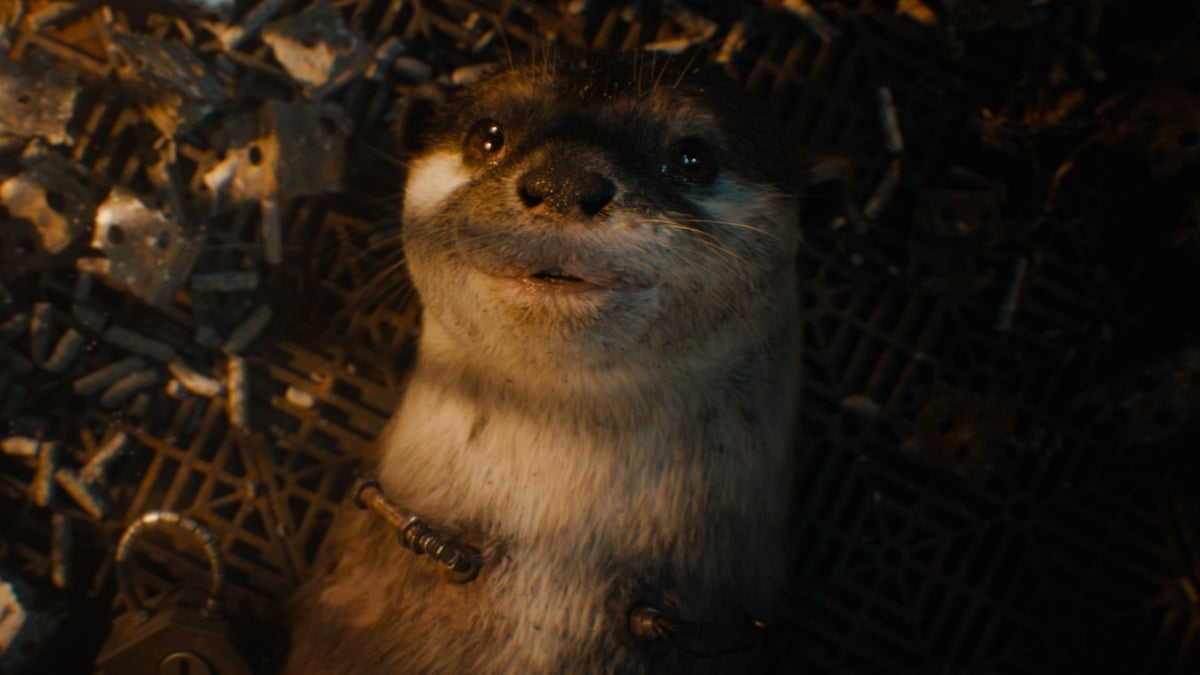 Guardians of the Galaxy 3 Cast and Character Guide: Who's Who?