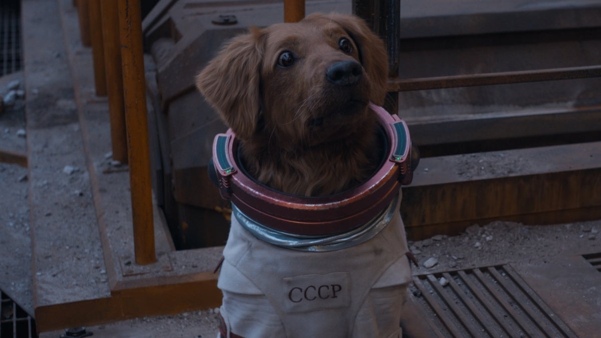 Guardians of the Galaxy 3 Cast and Character Guide: Who's Who?