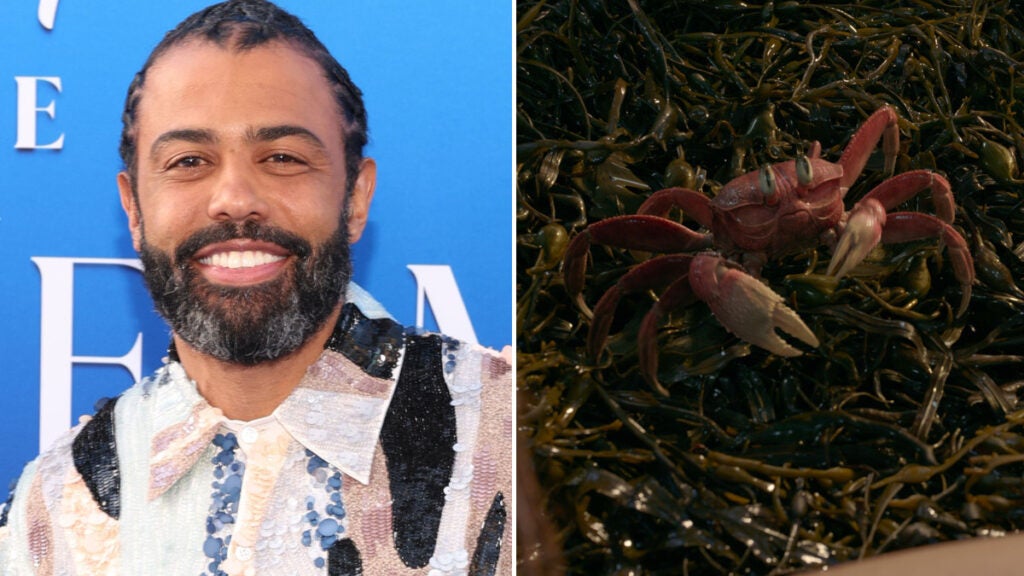 The Little Mermaid Cast and Character Guide