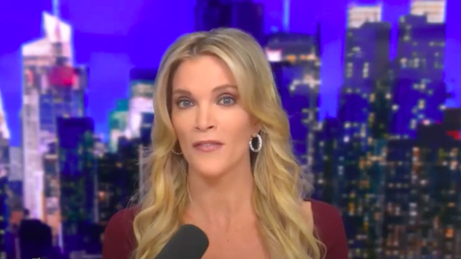 Megyn Kelly Says Only Mass Cuts Can Save CNN: Activists Should Be ...