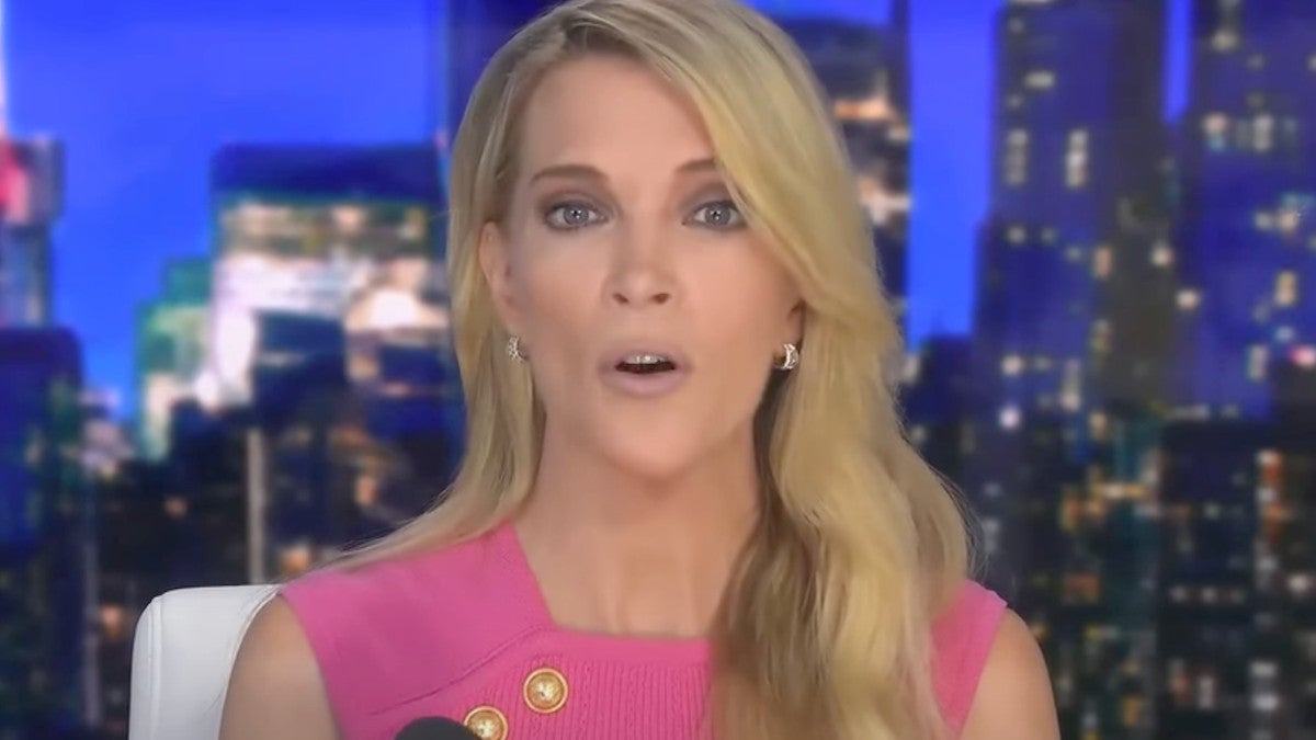 Megyn Kelly Says Hollywood Studios Deserve Their DEI Leader Exodus: ‘A ...