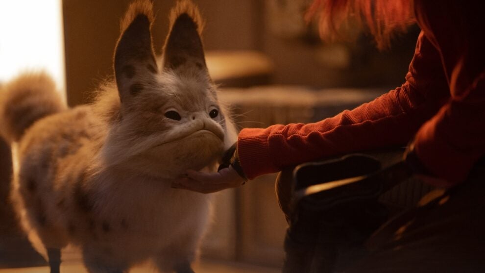 No, That Scene-Stealing Cat in 'Ahsoka' Was Not All CGI