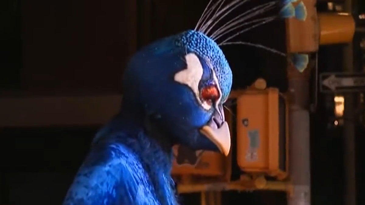 Heidi Klum Rocks an Incredible Group Peacock Costume for Halloween (Video)