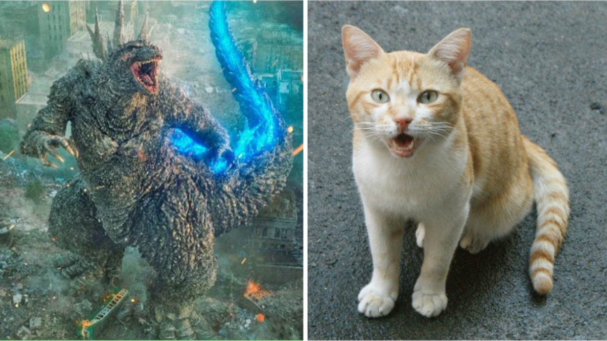 'Godzilla Minus One' Director's Cats Inspired the Big Monster