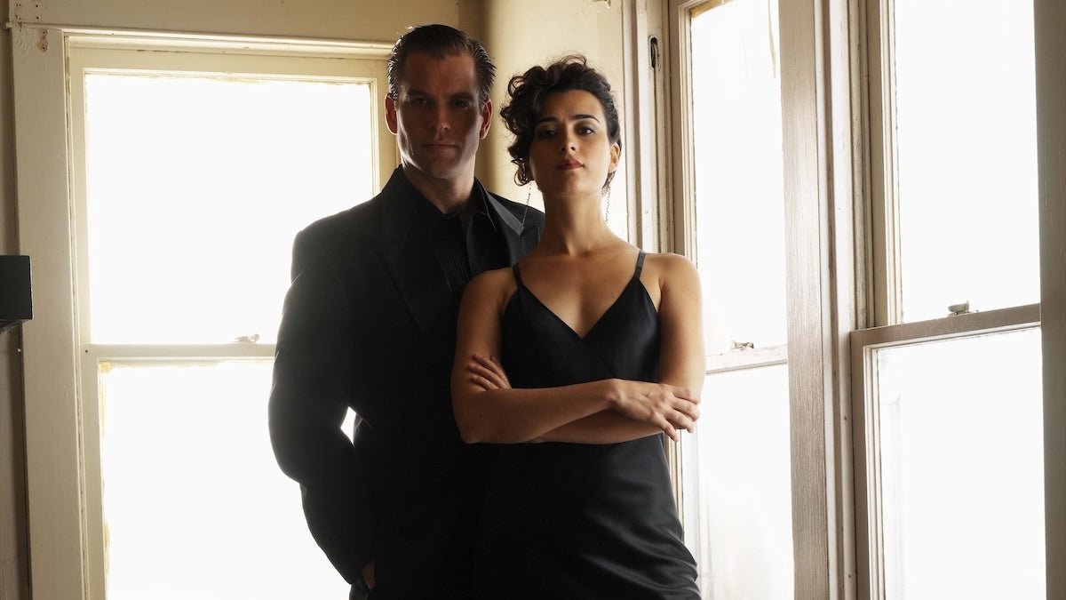 NCIS: Tony & Ziva Cast Revealed