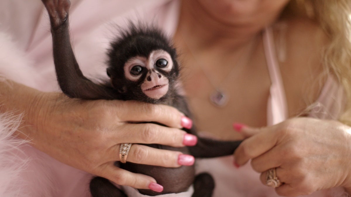 Chimp Crazy Review: Tiger King Makers Learn From Past Mistakes