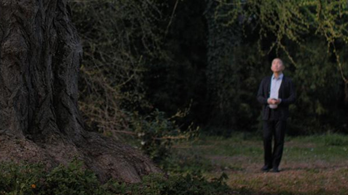 'Silent Friend' Review: A Cyclical Portrait of Plants and Human Connection