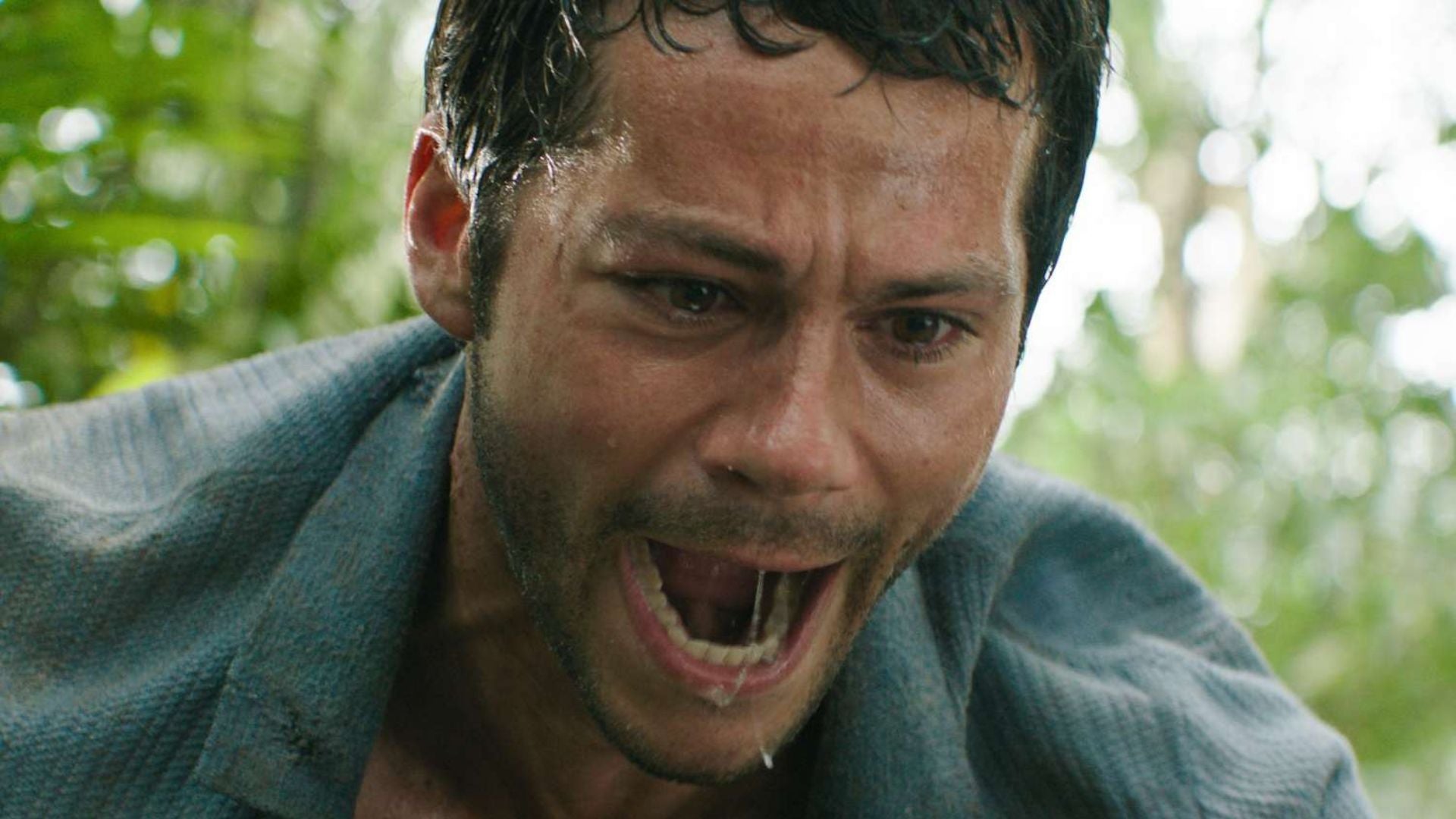 The Very Best (and Bloodiest) Horror Movies of 2026 So Far